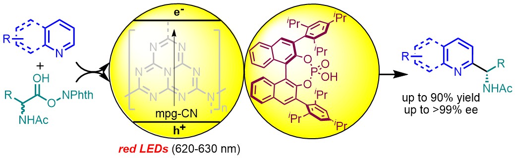 Kang Tengfei-化学化工学院